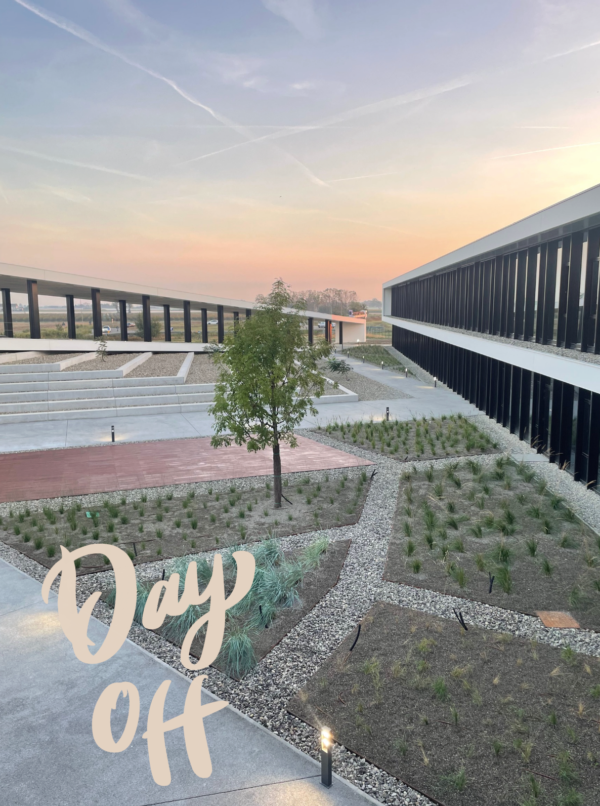 Chiusura del 24 novembre per festività patronale | Motor Power Company